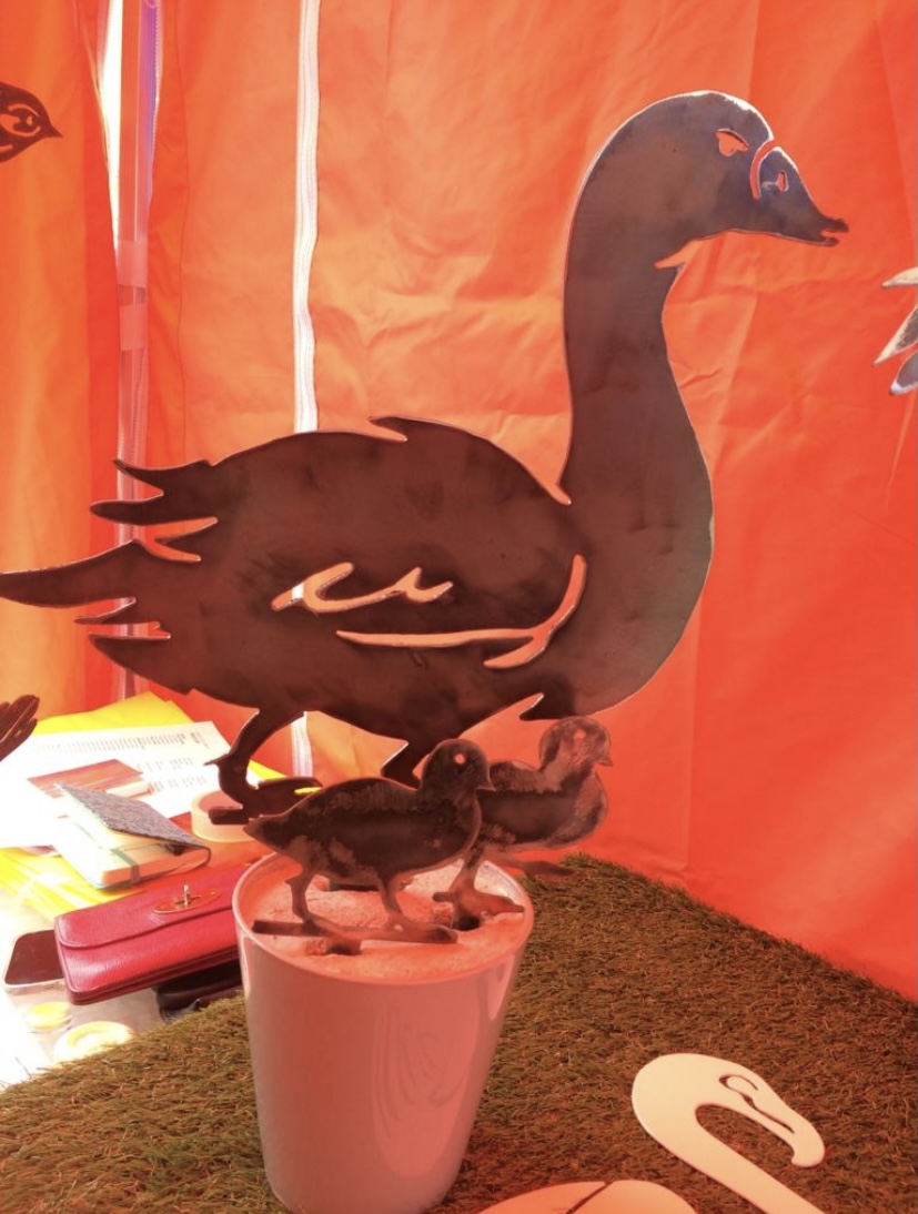 Gallery of 'Honks' - The Legend of the Goose Girl